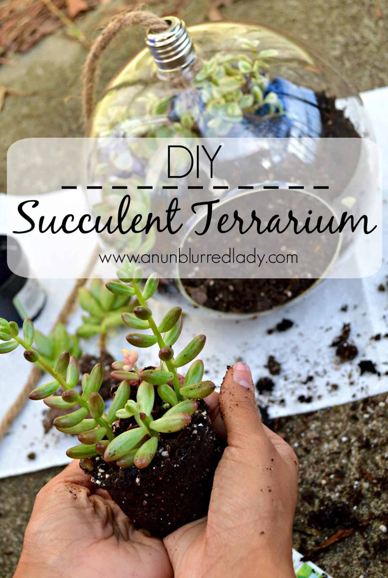 Succulent Terrarium :: DIY - An Unblurred Lady