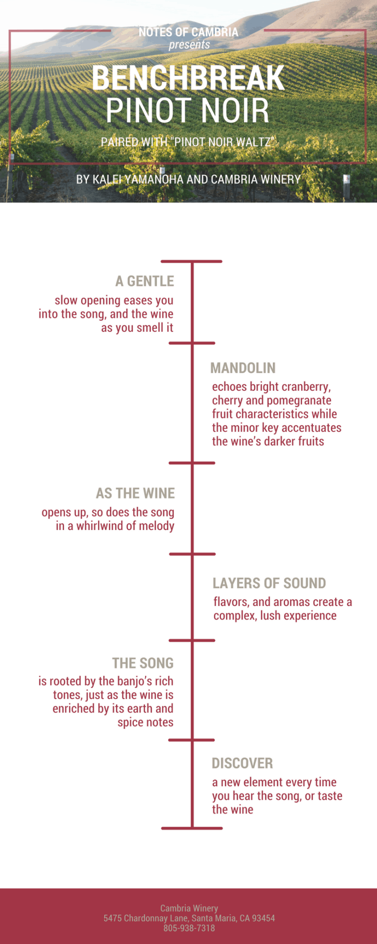 Simple Red Wine Timeline - Infographic - An Unblurred Lady