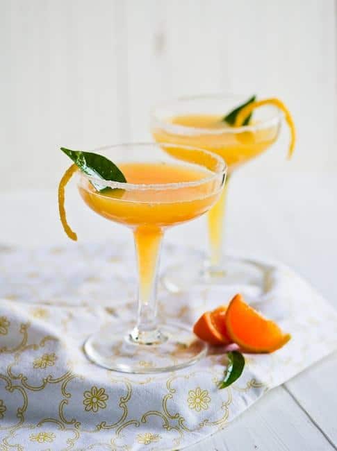 Citrus Cocktail 2 An Unblurred Lady