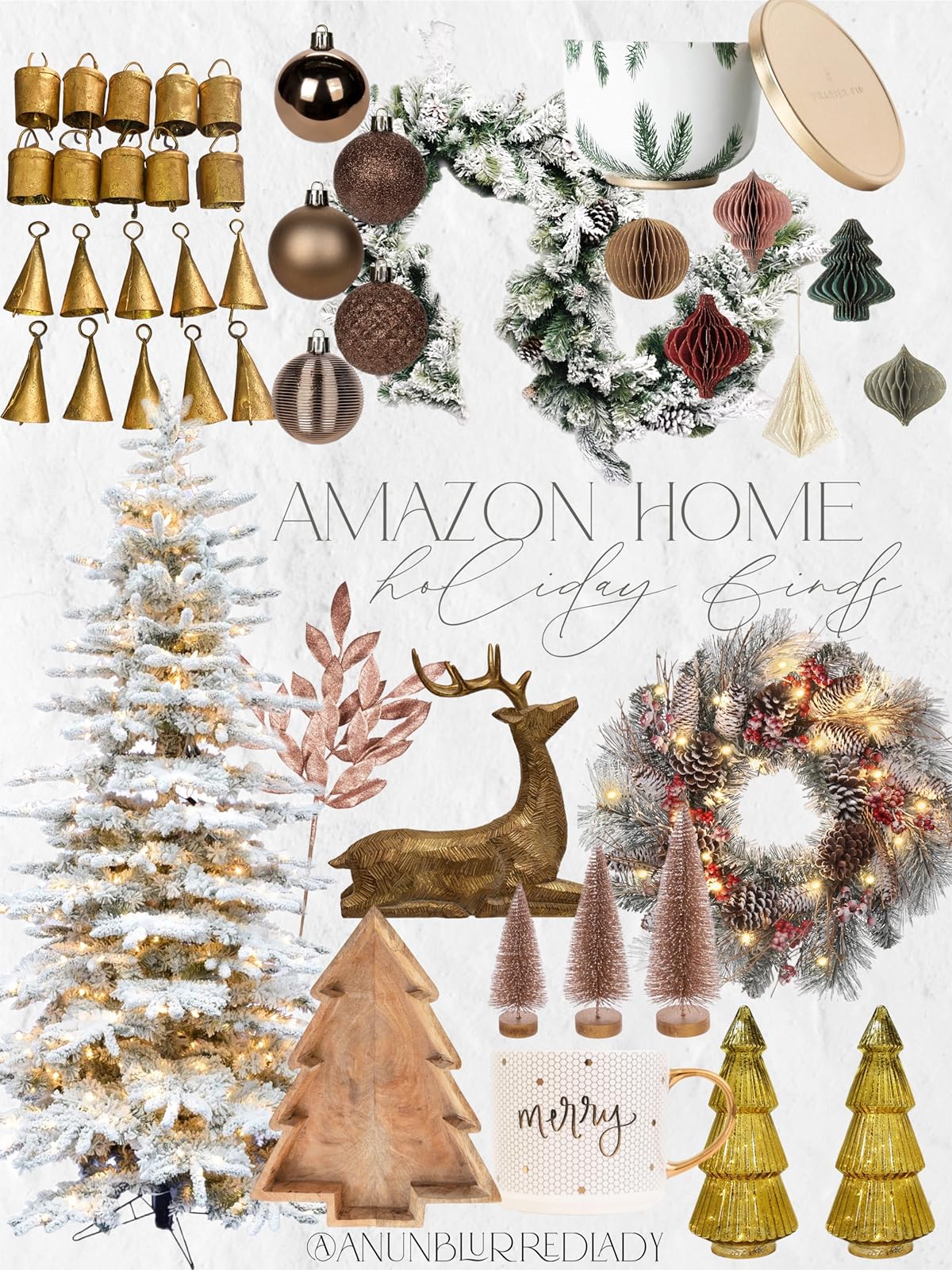 Amazon Holiday 1 - An Unblurred Lady